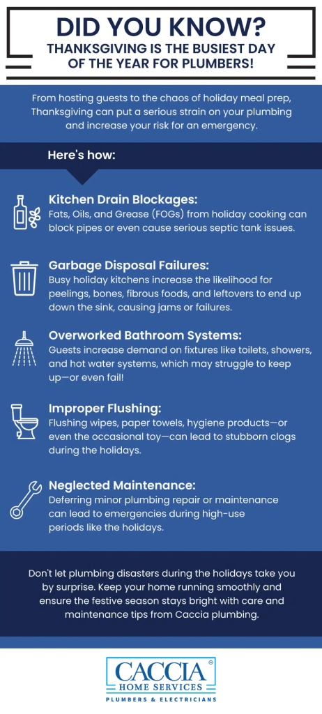 How To Get Ahead Of Plumbing Disasters During The Holidays