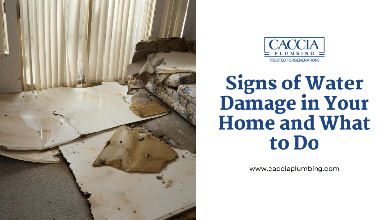 What To Do When Your Home Has Water Damage | Leak Detection