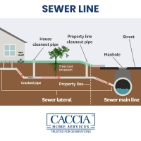 Use This House Sewer Line Diagram To Find & Prevent Problems